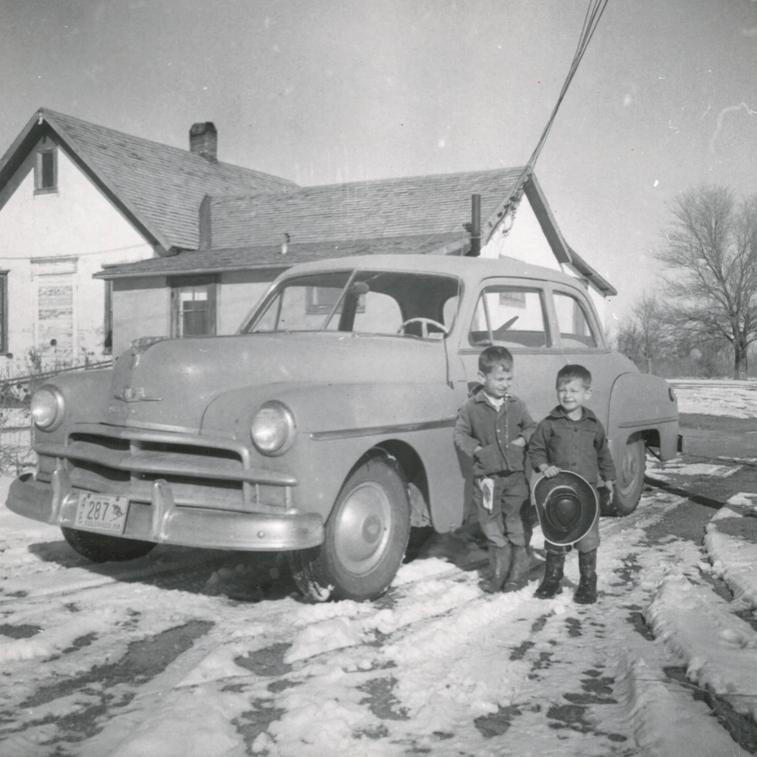 Under the Stars - Pharo Cattle Company®